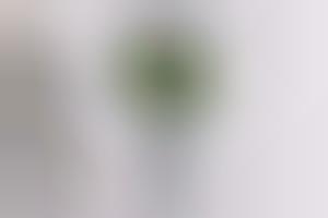 Green Garbage Bins: Envi Trash Bin Doubles up as a Planter