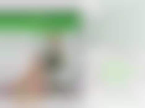 58 Clever Ways to Cook