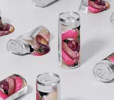 Provocative Can Designs : provocative can design