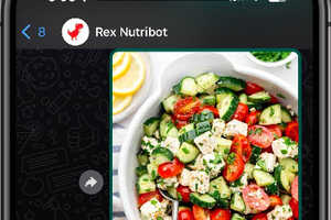 Fitness-Tracking AI Chat Bots : Rex Nutribot