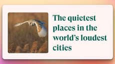Interactive Quiet-Locating Maps : Quiet Places Finder