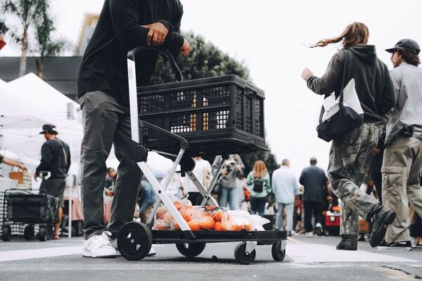 Collapsible Storage Trolleys : CLAX Trolley