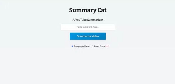 Efficient Video Summarizers : summary cat