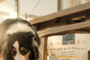 Vet-Approved Pet Lines : butcherbox for pets