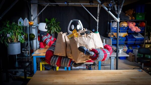 Grocery-Carrying Robot Assistants : punyo