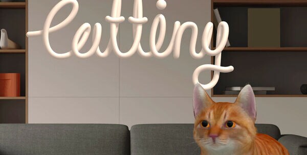 VR Cat Experiences : VR Cat Experiences