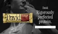 Intricately Crafted Protein Bars : david protein
