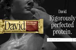 Intricately Crafted Protein Bars : david protein