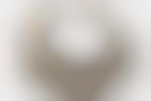 Garbage Necklaces: Recycled Jewelry by Indregru Converts Trash to Treasures