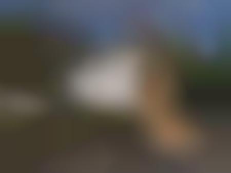 Portable Bridges: Bruggenhoofd Chabot Allows Passage Over a Hedge