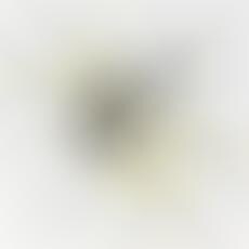 Steampunked Insects: Mike Libby Mixes Bugs & Machines in His Insect Lab ...