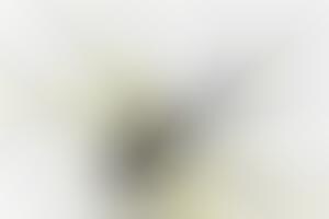 Steampunked Insects: Mike Libby Mixes Bugs & Machines in His Insect Lab ...