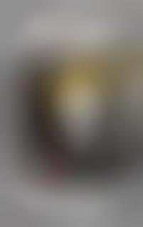 Long-Lasting Light Bulbs: EverLed Light Bulbs from Panasonic Shine for ...