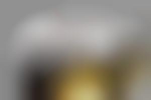 Long-Lasting Light Bulbs: EverLed Light Bulbs from Panasonic Shine for ...