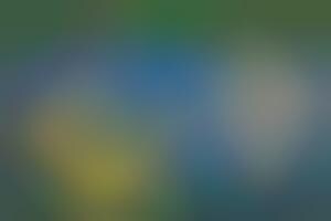 Mantastic Beer Campaigns: Bud Light 'Tailgate Approved' Appeals to ...