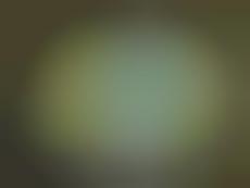 Humiliation Cakes: Say What You Really Feel with these Embarrassing Cakes