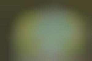 Humiliation Cakes: Say What You Really Feel with these Embarrassing Cakes