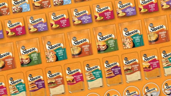 Refined Vegan Cheese Products : Sheese