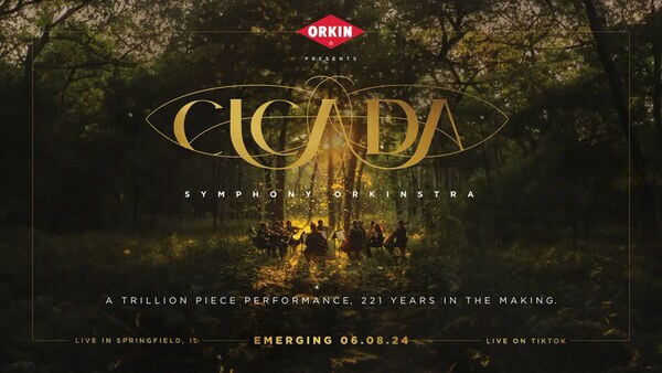 Insect Orchestra Concerts : The Cicada Symphony Orkinstra,
