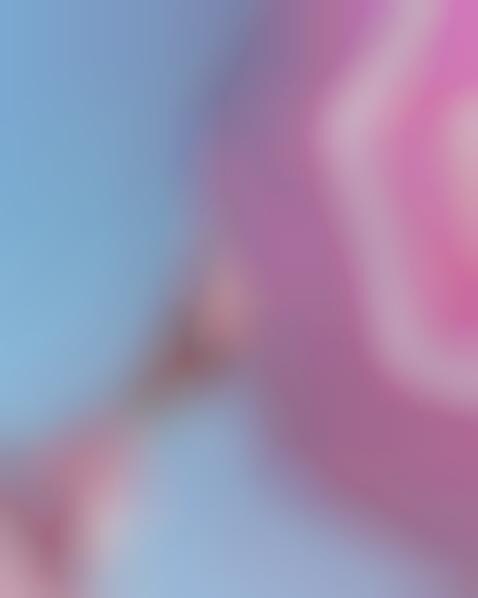 Exclusive Doll-Inspired Smoothies : Barbie Strawberry Dream
