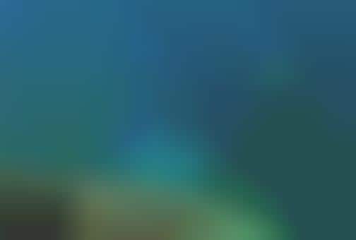 31 Examples of Underwater Transportation