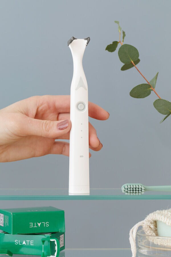 3-in-1 Electric Flossers : electric flosser
