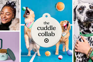 Private Label Pet Products : Target The Cuddle Collab