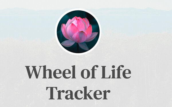 Personal Life Tracking Tools : Wheel of Life Tracker