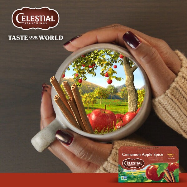 Visually Appealing Food Campaigns : taste our world