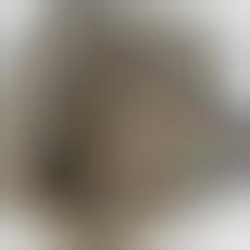 Bird Backpacks: The Pak O Bird Puts Your Feathered Friend in the Lap of ...