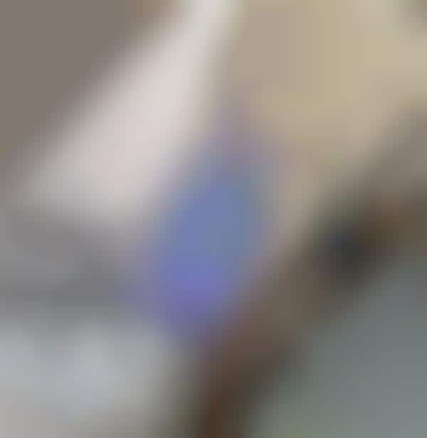 71 Sweet Stickers and Decals