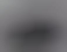 Invisible Pebble Phones: The Fujitsu Cell Phone Concept Weighs Down the ...