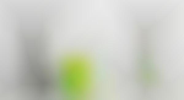 Secretive Salt Shakers: Lucas Saule Design Brings New 'Peek' Salt and ...