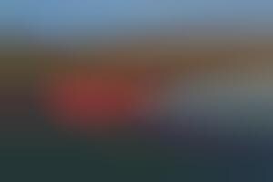 Rapid Car-Boat Hybrids: The Python Amphibious Vehicle is Super Speedy ...