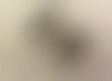 Morbidly-Cute Corpse Art: Dead Fly Pictures Emulate Human Behaviour