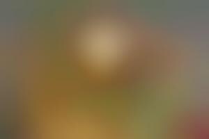 Organic Waste Innovations: 'Stak Block' is as Strong as Brick and Made ...