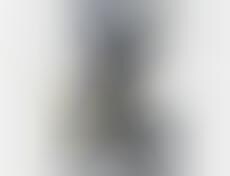 Country Club Strollers: The Curio Stroller is Made Exclusively for Japan