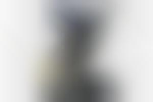 Country Club Strollers: The Curio Stroller is Made Exclusively for Japan