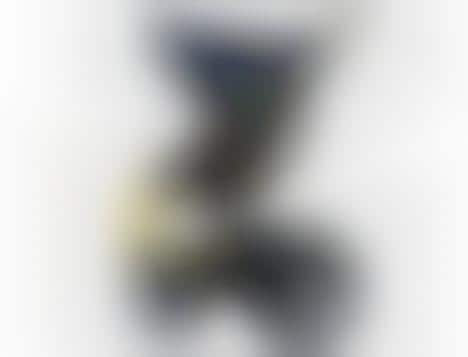 Country Club Strollers: The Curio Stroller is Made Exclusively for Japan