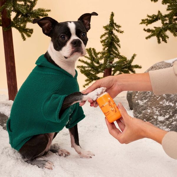 Microbiome-Friendly Paw Protectors : paw protector