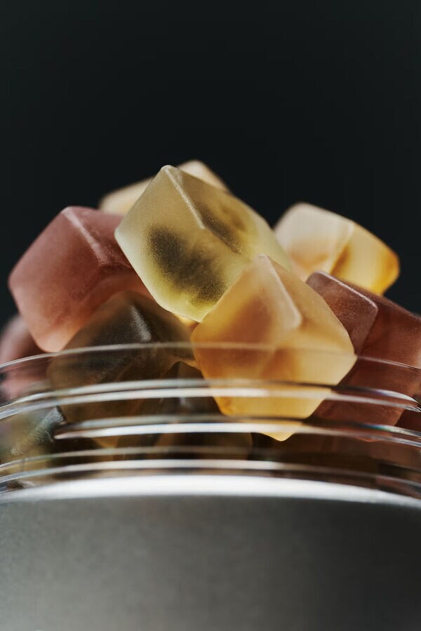 Functional Medicinal Chinese Mushrooms : noon