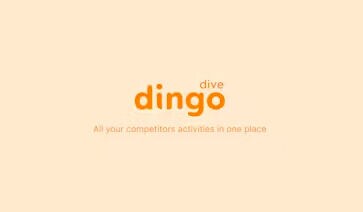 Competitive Intelligence Tools : Dingo Dive