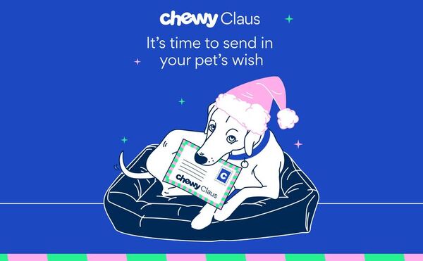 Festive Pet Letter Campaigns : Chewy Claus