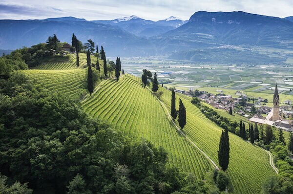 Comprehensive Subscription-Based Wine Platform : Wine Folly