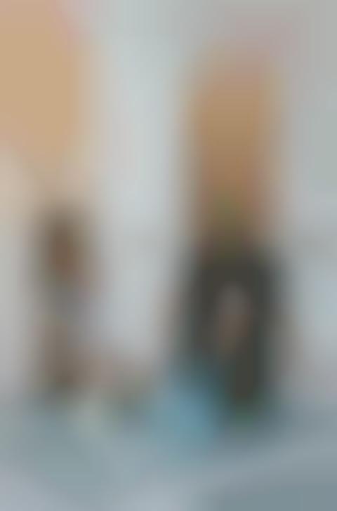 Museum-Branded Sock Collections : sock collection