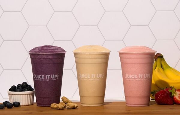 Flavorful Protein Smoothie Menus : Juice It Up! The Zone
