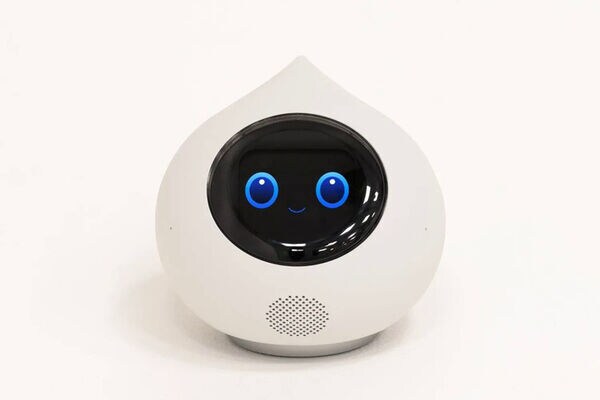 AI Emotional Support Robots : Romi Lacatan