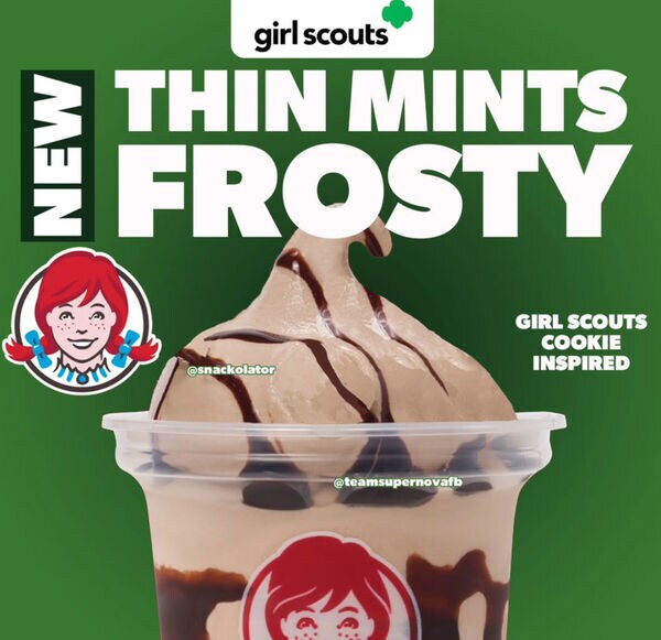 Chocolate Mint Cookie Shakes : Girl Scouts Thin Mints Frosty