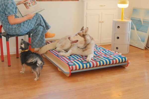 Dynamic Patterned Pet Beds : leo bed