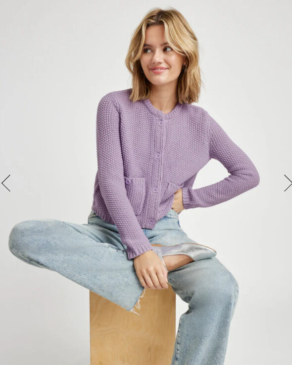 Transitional Spring Collections : Splendid Spring 2025